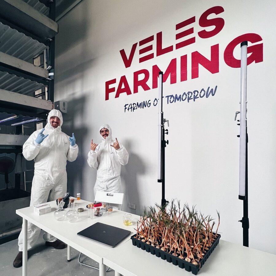 Veles Farming - SDG Awards 2024
